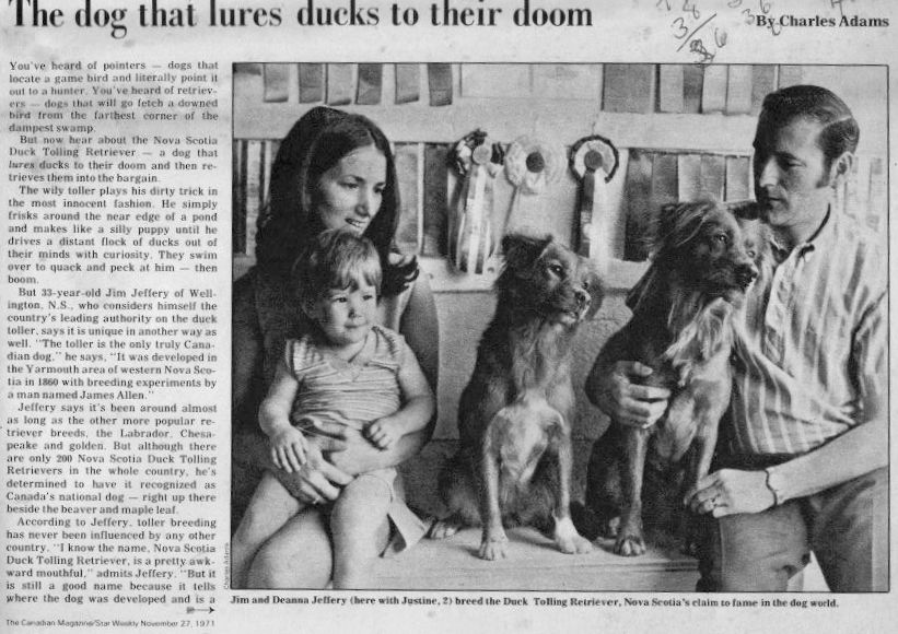 The history of the toller – Tollinghunt